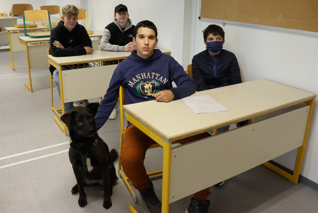 Die Schule, die Kinder und ein Hund - eine Erfolgsstory – ejsa-bayern.de